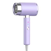China Low Noise Professional Salon Hair Dryer with 3 Heat Levels and Powerful 2400W for sale