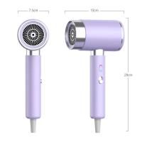 China Low Noise Professional Salon Hair Dryer with 3 Heat Levels and Powerful 2400W for sale
