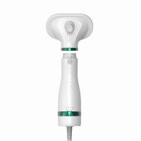 China 300W Electric Mini Household Pet Hair Dryer Low Noise Cats Dogs Grooming Blower Pet water Blower for sale