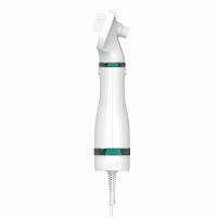 China 300W Multi Function 3 In 1 Pet Grooming Blower Low Noise Constant Wind Cat Dog Pet Hair Dryer for sale