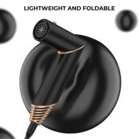 China Professional 6 In 1 Powerful Foldable Hot Air Hair Styler Dryer Ionic Beauty Salon Balck Golden for sale