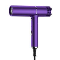 China Foldable Lightweight 1200W Electric Hair Dryer For Traveling Hotel Use for sale