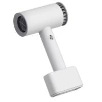 China Cordless Blow Dryer Rechargeable Wireless Powered By Lithium Battery For Pet Baby Use for sale