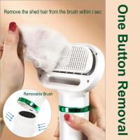 China 300W Household Portable Pet Blower Dryer For Pet Grooming Hair for sale