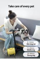 China Fast Drying Pet Hair Dryer 4-in-1 Professional Quiet Blow Dryer for Dogs Cats Lightweight Portable for sale