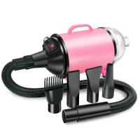 China Professional Pet Hair Dryer 4-in-1 Quiet Blow Dryer for Dogs & Cats Fast Drying Lightweight Home Use for sale