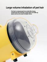 China Professional Pet Hair Dryer 4-in-1 Quiet Blow Dryer for Dogs & Cats Fast Drying Lightweight Home Use for sale
