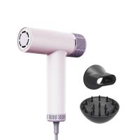China Double Air Channel High-Speed Ionic Low Noise Blow Dryer With Brushless Motor Magnetic Diffuser For Curly Hair Dryer for sale