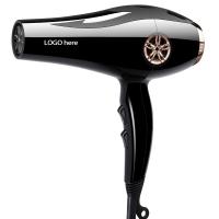 China 2000W High Speed Professional Multi Attachments Set Negative Ion Professional Hair Dryer for Hair Salons With Blue Light for sale