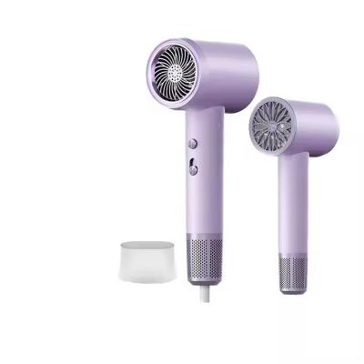 China 2000W Purple High Speed Blue Ray Negative Ion Revair Hair Dryer Temperature Adjustable for Household Use for sale