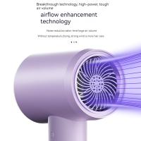 China 2000W Purple High Speed Blue Ray Negative Ion Revair Hair Dryer Temperature Adjustable for Household Use for sale