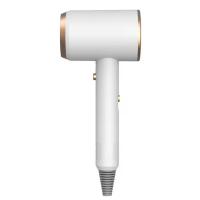 China 1500W Portable High Speed Negative Ion Revair Electric Hair Dryer for Home Cordless Professional for sale