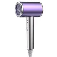 China 1500W Portable High Speed Negative Ion Revair Electric Hair Dryer for Home Cordless Professional for sale
