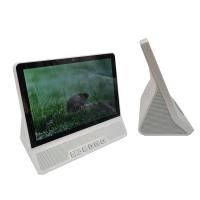 China Volte HD Voice FWP 4G Landline Phone 10 Inch Touch Screen 13MP Camera Android 11 for sale