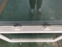 China White UPVC Double Hung Window Grill Design With Insect Screen for sale