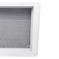 China Secure Stylish Reinforced Vinyl Single Hung Windows With Lock Compatibility for sale