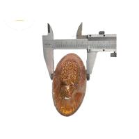 China Bus Universal Side Turn Signal ZX527 Water Drop LED 5000h 3M Glue GB ECE Bus Spares 4111-00300 for sale