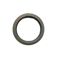 China SKF Meritor Axle Rear Wheel Hub Oil Seal FKM 120x160x27mm Double-Lip 0.5MPa Bus Truck Spares 47691 for sale