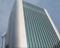 China Rectangle Shape Curtain Wall With Excellent Thermal Insulation And Good Sound Insulation for sale