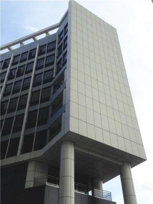 China Good Sound Insulation Modern Metal Ceilings Aluminum Curtain Wall with Weather Resistance for sale