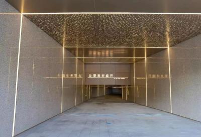 China Aluminum Curtain Wall for Modern Metal Ceilings with Weather Resistance for sale