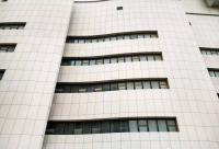 China Customizable Stone Curtain Wall with Excellent Thermal Insulation and Low Maintenance for sale