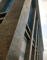 China Construction Stone Curtain Wall Sound Insulation Size Customized for sale