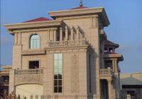 China Customizable Stone Curtain Wall for Your Construction Project for sale