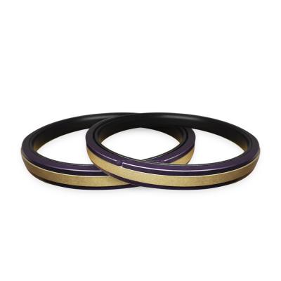 China Heavy Duty Piston Seal SPGW 50 for Excavator Hydraulic Cylinders PTFE NBR for sale