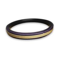 China Heavy Duty Piston Seal SPGW 50 for Excavator Hydraulic Cylinders PTFE NBR for sale