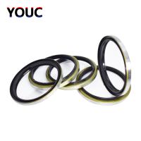 China High Temperature DKB Dust Seal NBR Metal Outer Iron 30x42x6mm for Hydraulic Systems -35℃ to +120℃ for sale