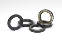 China N0K Oil Seal TCN AP3409 FKM/NBR Metal Ring Seal with 0.98 MPa Pressure Resistance for Machinery Repair for sale
