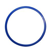 China Blue PU Rubber Seal Excavator ROI 60 Rotary Seal Ring 60×4.9mm High-Performance Center Joint Oil Seal for sale