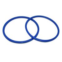China Blue PU Rubber Seal Excavator ROI 60 Rotary Seal Ring 60×4.9mm High-Performance Center Joint Oil Seal for sale