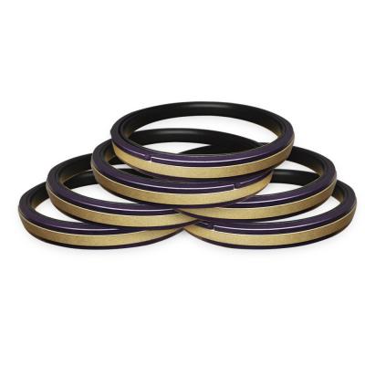 China SPGW Compact Hydraulic Piston Seal 50-300mm Diameter Range for 300 MPa Construction Machinery for sale