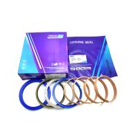 China Hydraulic Cylinder Seal Kit DX140 ARM Seal Kit 0~10MPa for Excavator for sale