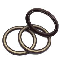 China High Temperature Resistant Skeleton Oil Seal 80×100×7 mm TCV FKM for Hydraulic Pumps 0.3MPa Pressure for sale