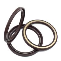 China High Temperature Resistant Skeleton Oil Seal 80×100×7 mm TCV FKM for Hydraulic Pumps 0.3MPa Pressure for sale