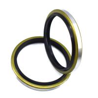 China DKBI DKB Dust Seal Replacement Hydraulic Seal Kit 14-260mm ID Range NBR+PU Wiper for Construction for sale