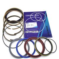 China Doosan DH250 Arm Seal Kit Heavy Duty Hydraulic Cylinder Repair Seals 35 MPa for sale