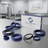 China Hydraulic Cylinder Seal Kit 35 MPa 0.5 m/s Full Set for Excavator Cylinder Repair for sale