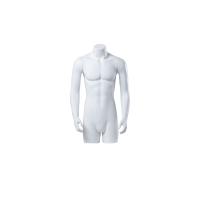 China Half Body Athletic Male Mannequin for sale