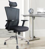 China Adjustable Headrest Mesh Chair Fabric Multifunctional Ergonomic High Back Boss Chair for sale