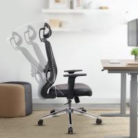 China Y Mail Packing Home Office Furniture Computer Mesh Chair with Swivel Lift Design for sale