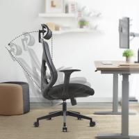China Modern and Functional Bow Mesh Ergonomic Chair for Office Spaces Style Computer Chair for sale