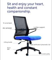 China Stylish Computer Chair Bow Back Design for Customization for sale
