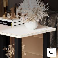 China OEM Office Printer Shelf For Green Plants And Computer Storage for sale