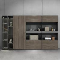 China Business Premises Large Office Cabinets for Documents Books Certificates and Trophies for sale