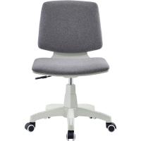 China 360 Degree Swivel Chair Height Adjustable Optional Colors Commercial Room Office Chair PC Chair for sale