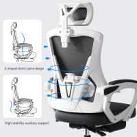 China Home Office Gaming and Learning Reclining Computer Chair with Adjustable 3D Armrests for sale